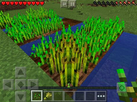 How To Farm In Minecraft Pe 9 Steps With Pictures Wikihow