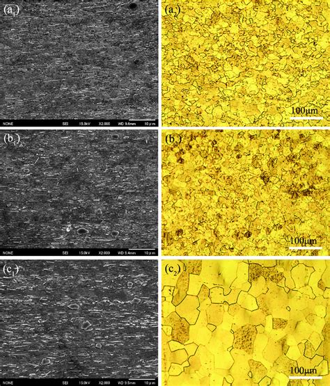 Microstructure Of A C TiC TiB Ti Composite And A C Download Scientific
