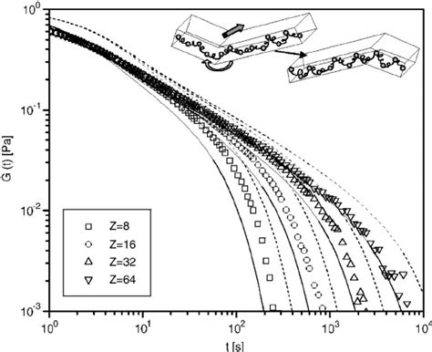 Relaxation Modulus From A Tube Rouse Chain Where The Longitudinal Modes