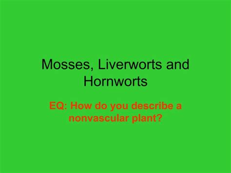 4 3 1 Mosses Liverworts And Hornwortsppt