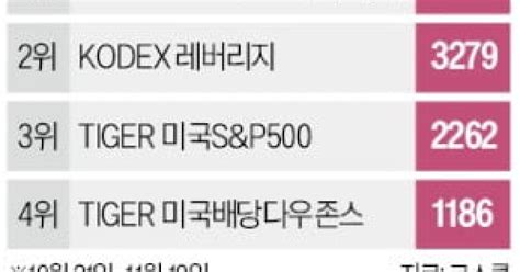 韓증시 저점레버리지 Etf 베팅한 개미
