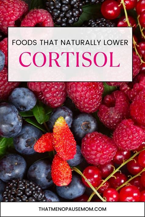 Cortisol Diet Artofit