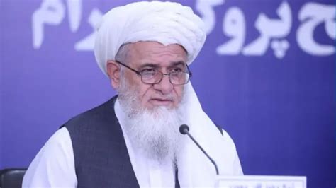 روز جهانی محو خشونت علیه زنان؛ فعالان این خشونت را متوقف و طالبان را