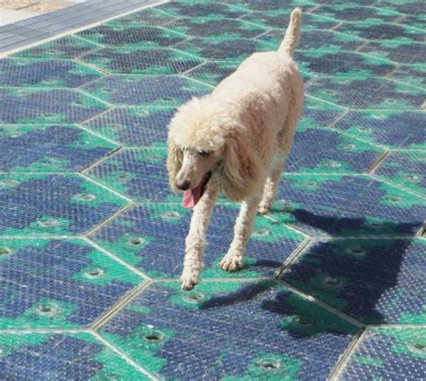 Solar Roadways A Modular Paving System Comprised Of Solar Panels