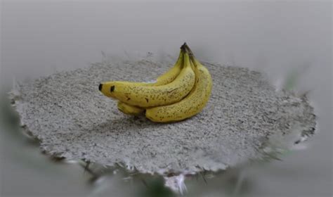 Opensplat 3dgs Now On Mac Radiance Fields