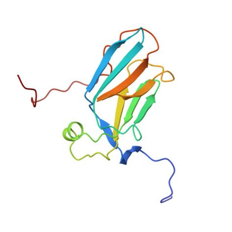 Gene O94966 Protein Usp19 Overview Cansarai