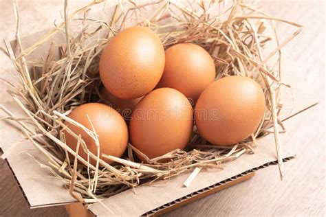Chicken Eggs On Rice Straw Put In A Box Stock Image Image Of Nature