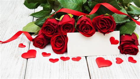 4k Valentine`s Day Buds Romantic Red Roses Love Flowers Red