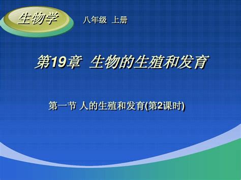 人的生殖和发育 课件第2课时word文档在线阅读与下载无忧文档