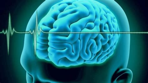 Que Se Passe T Il Dans Le Cerveau Lorsque Nous Mourons Ce Qua