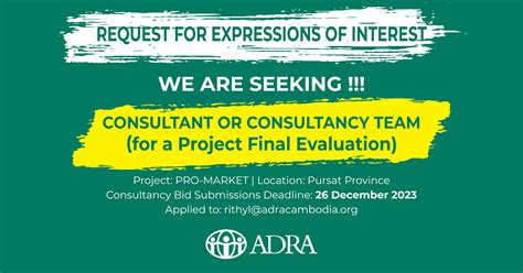 Request For Expressions Of Interest Consultant Or Consultancy Team For A Project Final