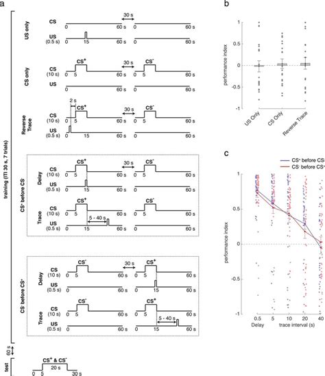 Conditioning Related Experimental Controls A Delay And Trace