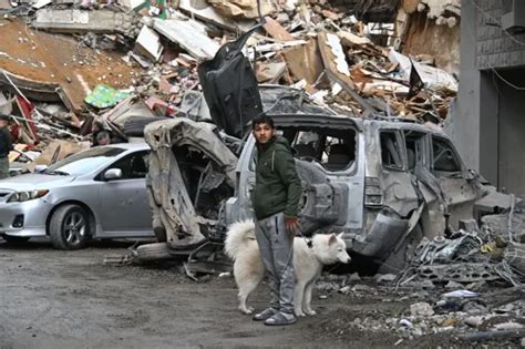 В Ливане вступил в силу режим прекращения огня между Израилем и «Хезболлой США надеются что