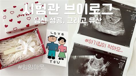 시험관 브이로그 임신 성공 처음으로 본 두 줄 임테기 아기집 초음파 작은 아기집 결국 유산했어요 Youtube