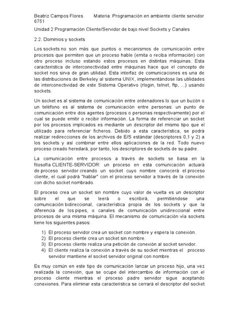 Dominios Y Tipos De Socket Pdf Zócalo De Red Modelo Cliente Servidor
