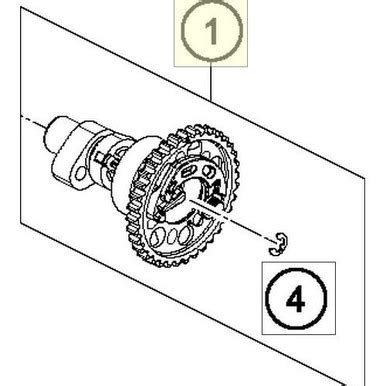 Camshaft Cpl With Deco 79436010044 Judd Racing