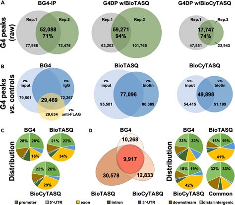 Side By Side Comparison Of G Quadruplex G4 Capture Efficiency Of The