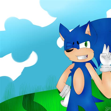 Sonikku Za Hejjihoggu By Sevathefox On Deviantart
