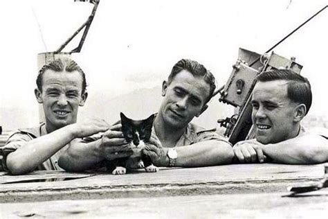 A Tribute To Tuxies And Their Tuxitude The Purrington Post