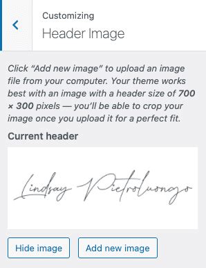 How To Use The WordPress Theme Customizer