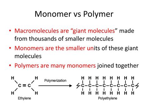 Test Tuesday Sept 18 Covers Biochemistry And Characteristics Of Life