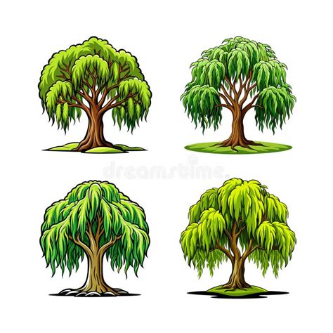 Bold Illustration Of Willow Tree Stock Vector Illustration Of