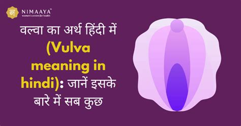 वल्वा का अर्थ हिंदी में Vulva Meaning In Hindi जानें इसके बारे में