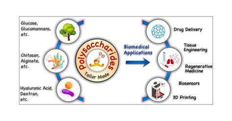 Tailor Made Polysaccharides For Biomedical Applications Acs Applied Bio Materials