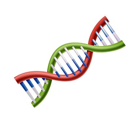 3d Realistic Vector Icon Of Dna Medial Concept And Element 24315756
