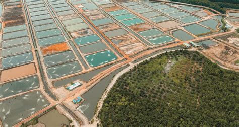 Fao 2022 The State Of World Fisheries And Aquaculture Key Message