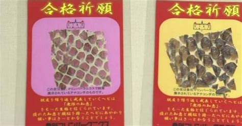 日 아나콘다 뱀 껍질로 만든 수험생 합격 부적 570원에 판매