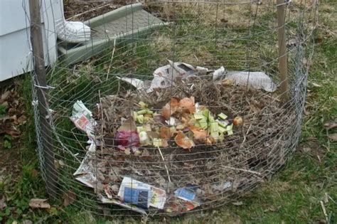 How To Build A Wire Compost Bin Diy Guide Will It Compost