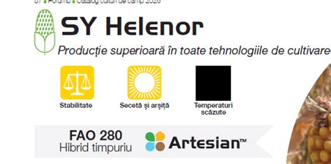 Re I Have A Problem When From Indesign I Genera Adobe Community