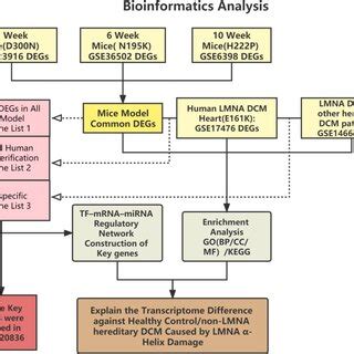 Bioinformatics Analysis Design Flowchart Download Scientific Diagram