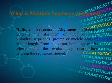 Multiple Sequence Alignment By Shubham Kaushik Ppt