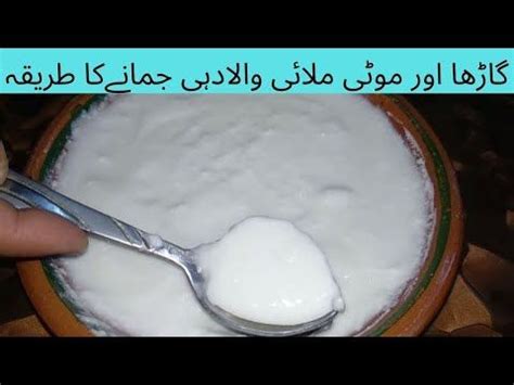 Dahi Jamane Ka Sahi Tarika By Kitchen With Seema Homemade Yogurt Recipe YouTube