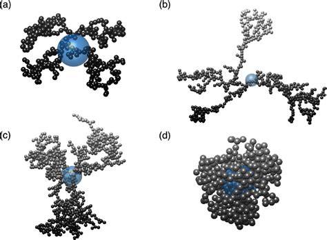 Four Examples Of Numerically Generated Coated Haze Particles Considered Download Scientific