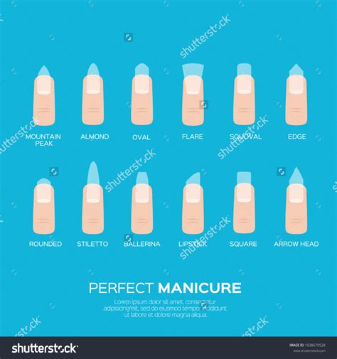 Different Nail Shapes Woman Fingers Fingernails Stock Illustration 1038679528 Shutterstock