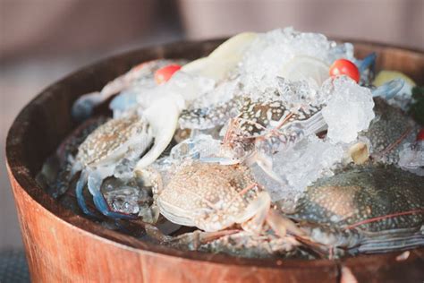 Delicious Fresh Crab In Buffet In Hotel Restaurant Stock Image Image