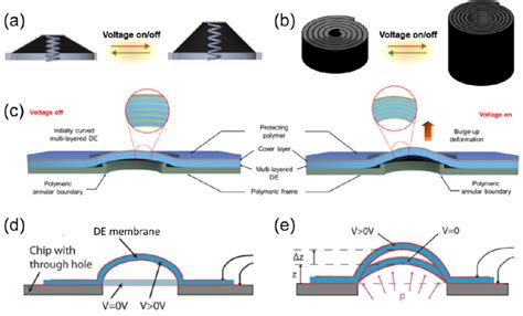 Schematics Of Expansion DEAs A Cone Shape Structure 79 B Rolled