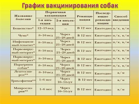 Сколько раз нужно собаку глистогонить: Дегельминтизация собак перед ...