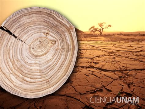 Sequías Intensas Que Han Azotado México Ciencia Unam