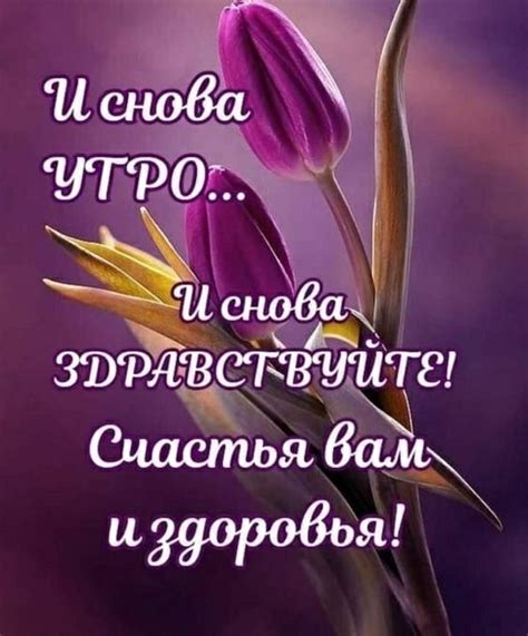 Pin by Лёля Galustyan on Пожелания с добрым утром Good morning photos
