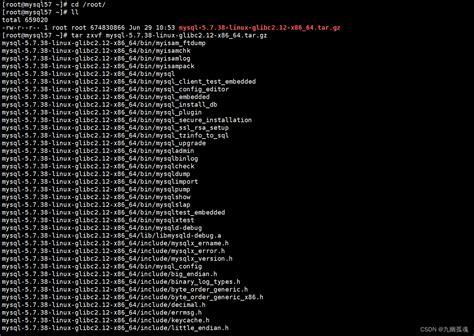 linux 下安装mysql5 7 linux mysql5 7 38解压版安装教程 csdn博客