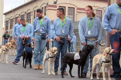 Oregon Department Of Corrections On Linkedin Eoci Odoc Pendleton Oregon Jobsofliving Puppies
