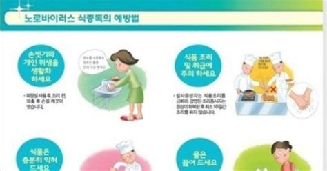 노로 바이러스 식중독 주의 겨울철 식중독 유의