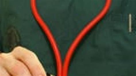 Do You Take Your Classis To The Doctor Crc Network