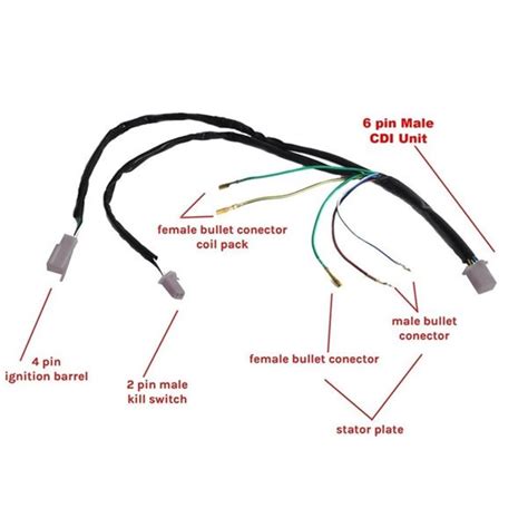 Pit Bike Wiring Loom Diagram Wiring Diagram Pictures