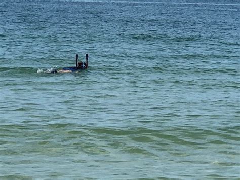 Adventures In Paradise Fort Myers All You Need To Know Before You Go