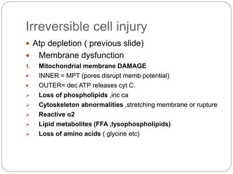 Mechanisms Of Cellular Injuries PPT